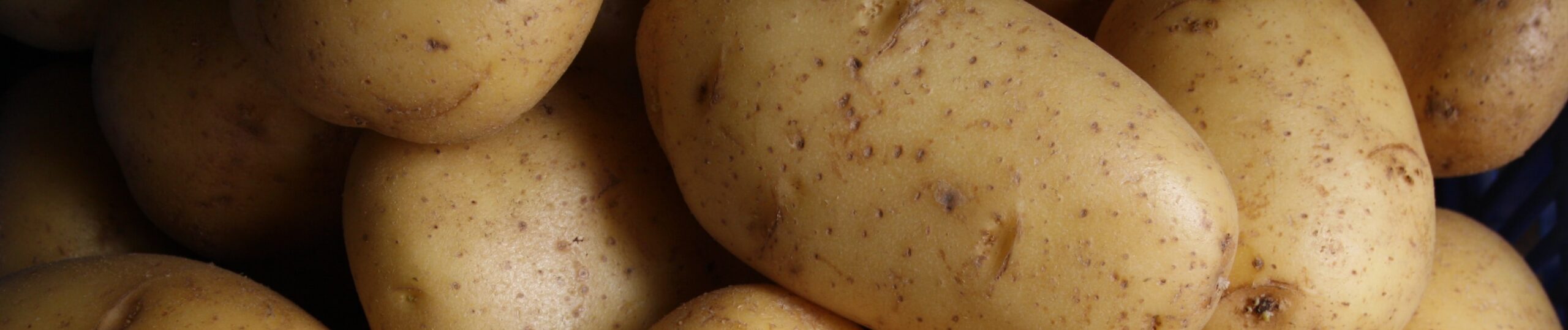 IoP – The Internet of Potatoes – Paul Kerrison